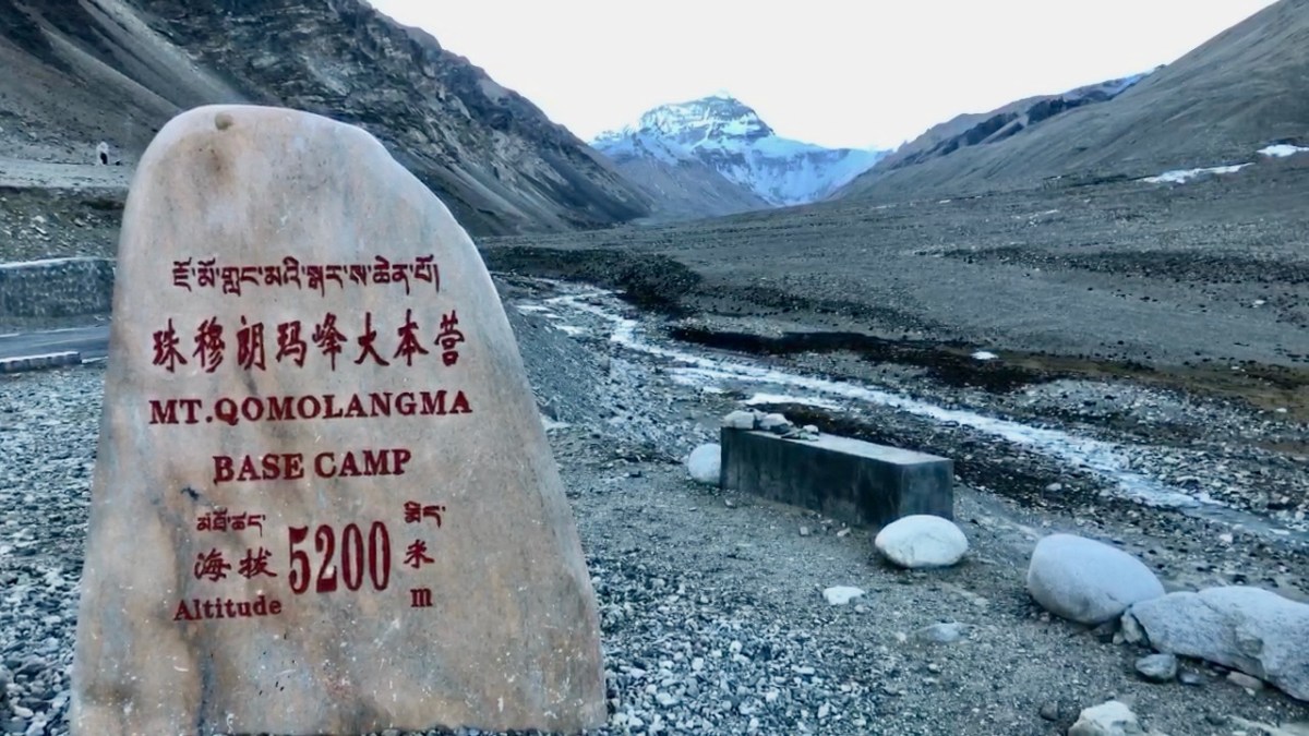 Travel streamer Heygo passes two million tour bookings milestone – Paul ...