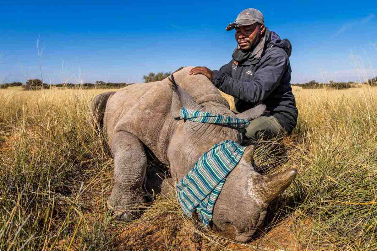 How to join rhino tagging teams on new ecotourism trips – Paul Cole Travels