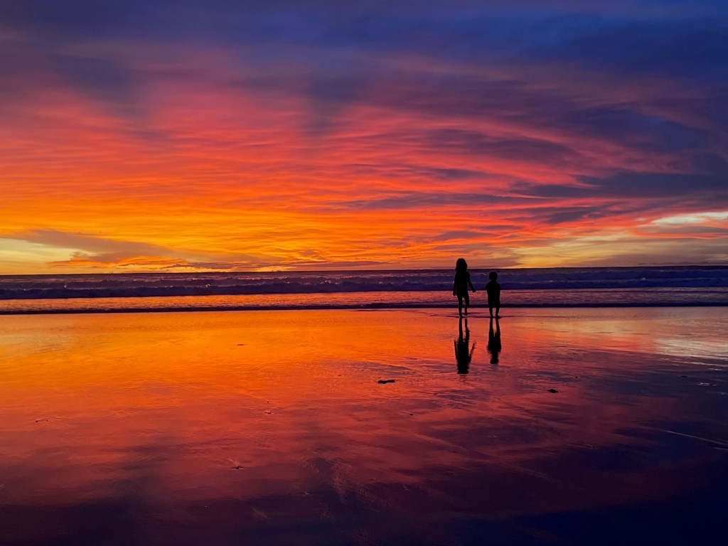 Closure of tour streamer Heygo ‘incredibly sad’ says founder – Paul ...