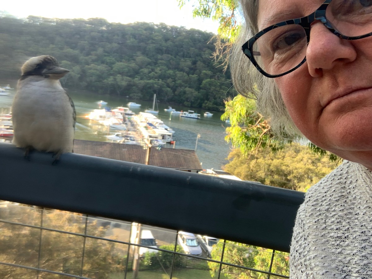 Former Heygo guide plans 25,000-mile trek across three continents ...